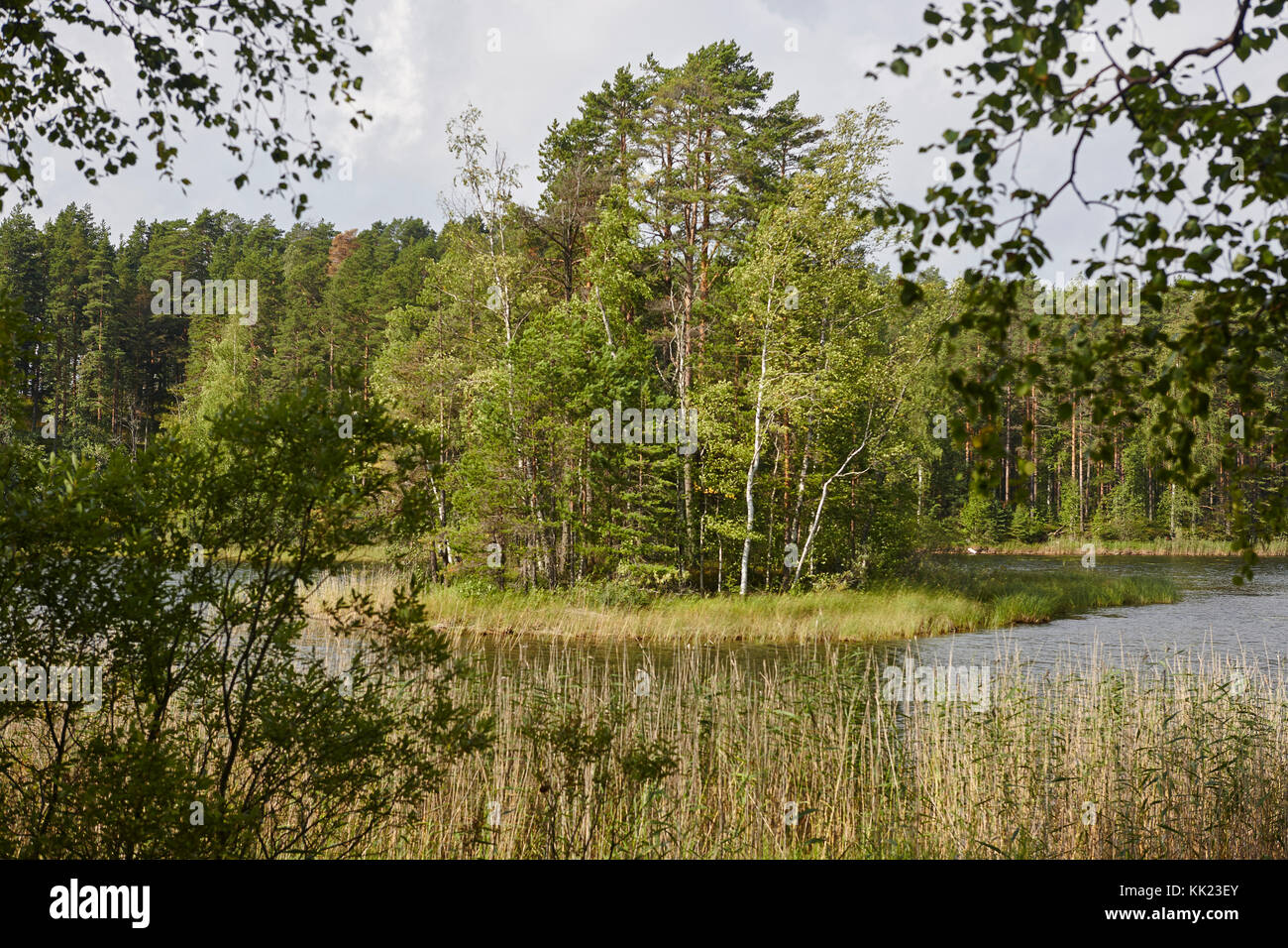 Finnish landscape with forest and lake. Finland nature wilderness ...