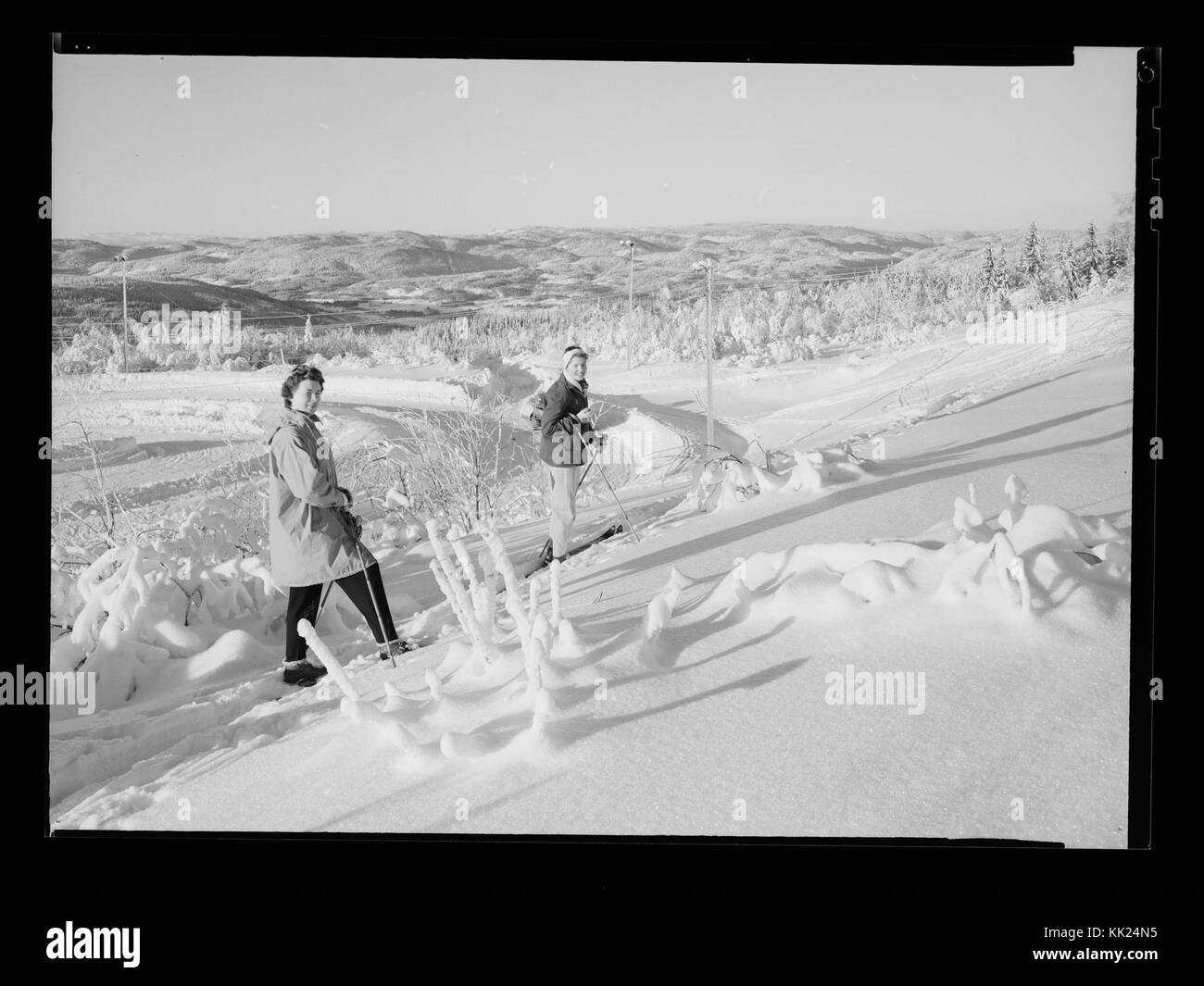 Oslo nordmarka forest hi-res stock photography and images - Alamy