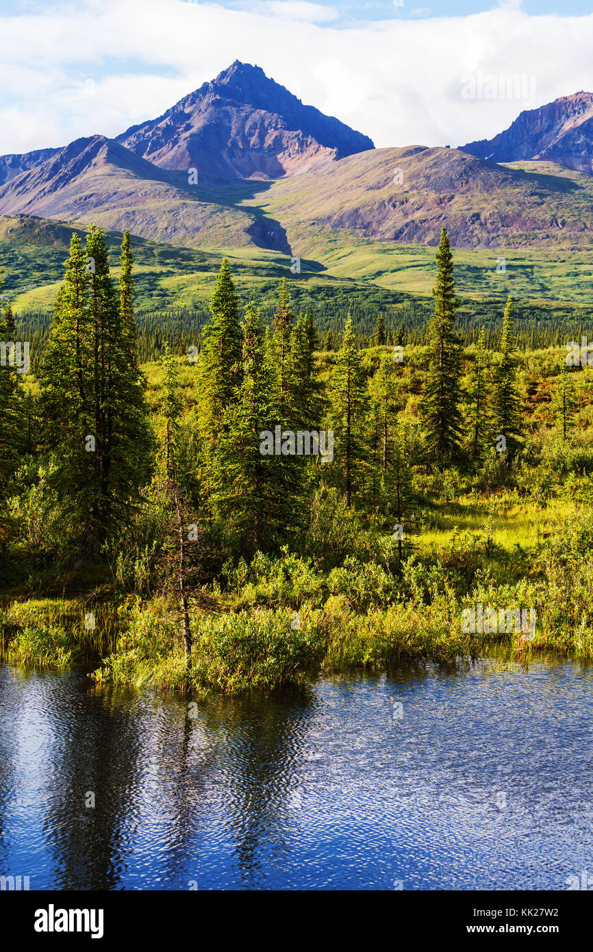 Mountains of Alaska in summer Stock Photo - Alamy