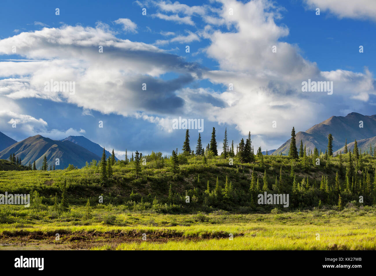 Mountains of Alaska in summer Stock Photo - Alamy