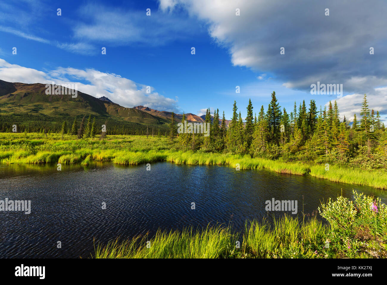 Mountains of Alaska in summer Stock Photo - Alamy