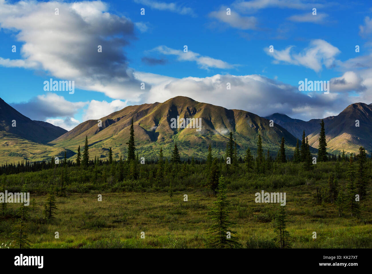 Mountains of Alaska in summer Stock Photo - Alamy