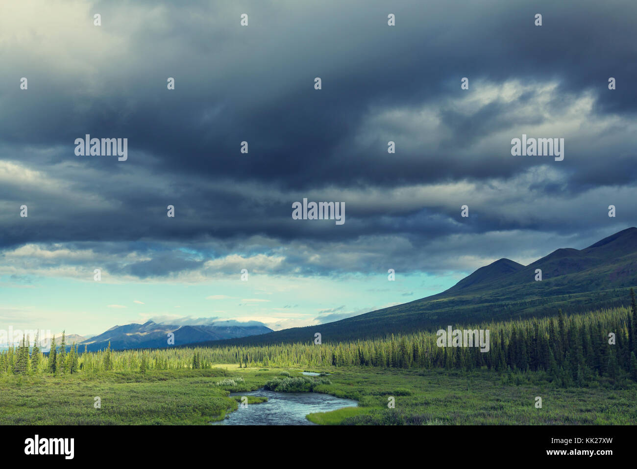 Mountains of Alaska in summer Stock Photo - Alamy