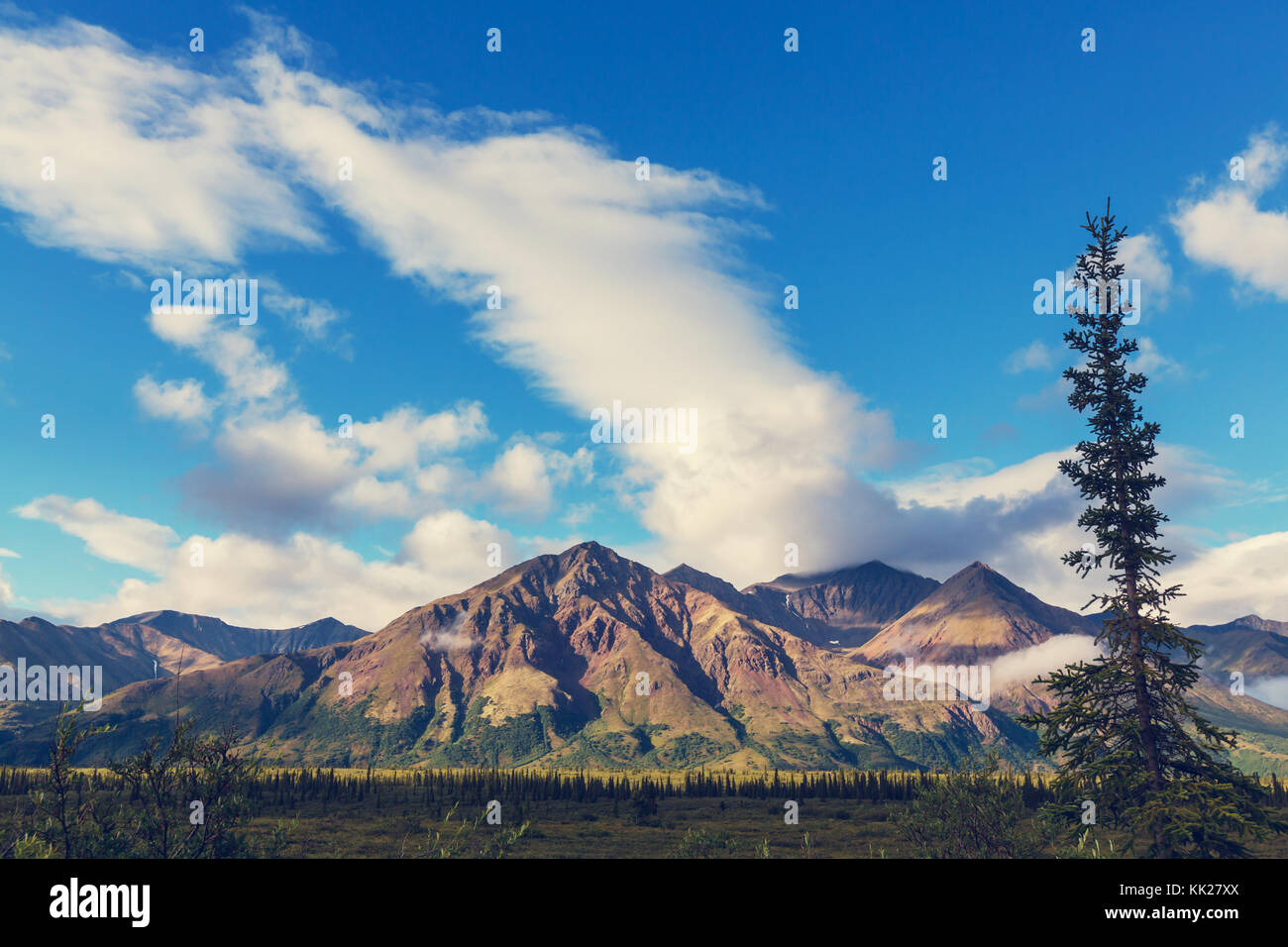 Mountains of Alaska in summer Stock Photo - Alamy