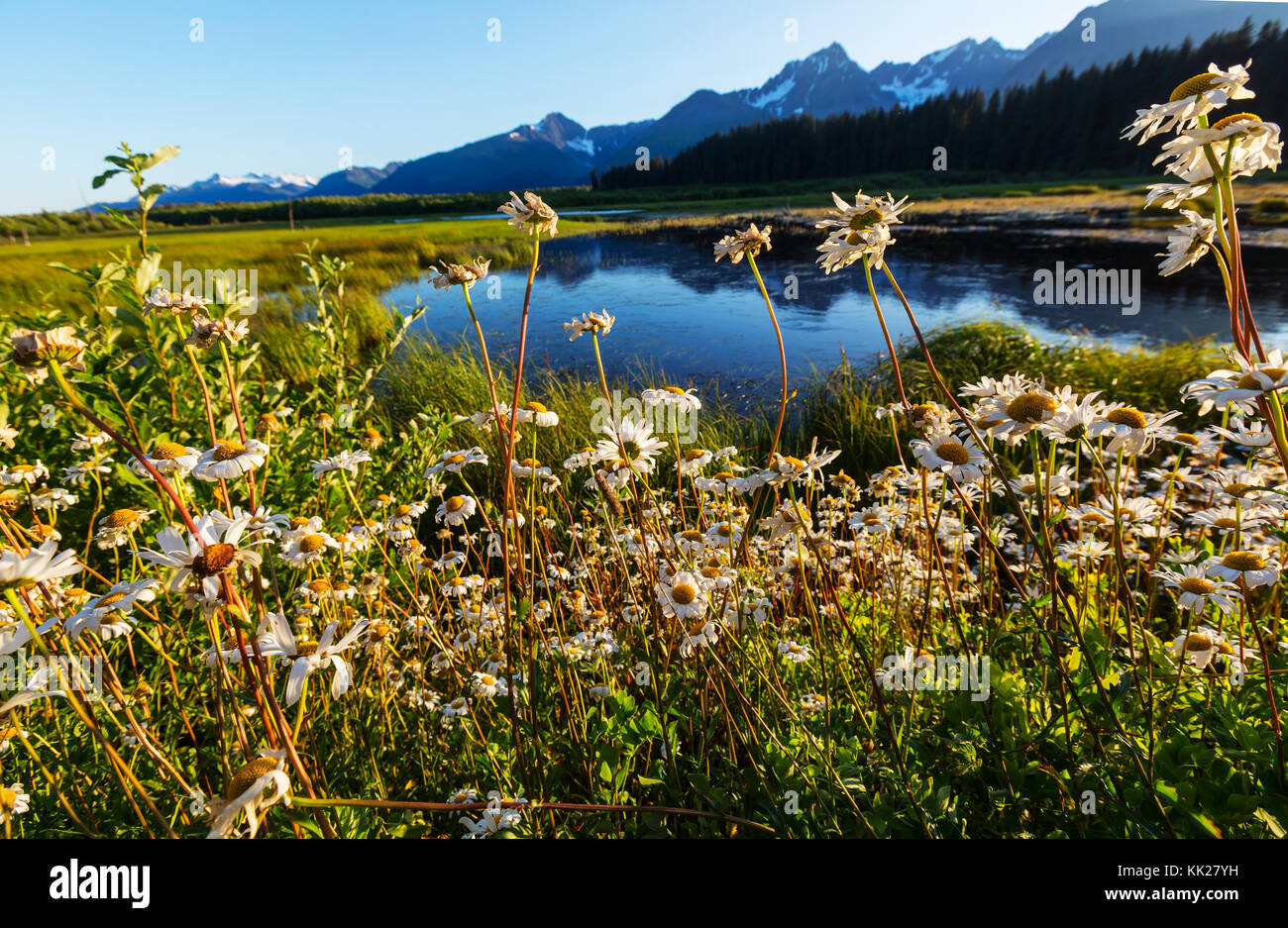 Mountains of Alaska in summer Stock Photo - Alamy