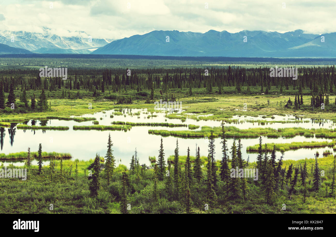 Mountains of Alaska in summer Stock Photo - Alamy