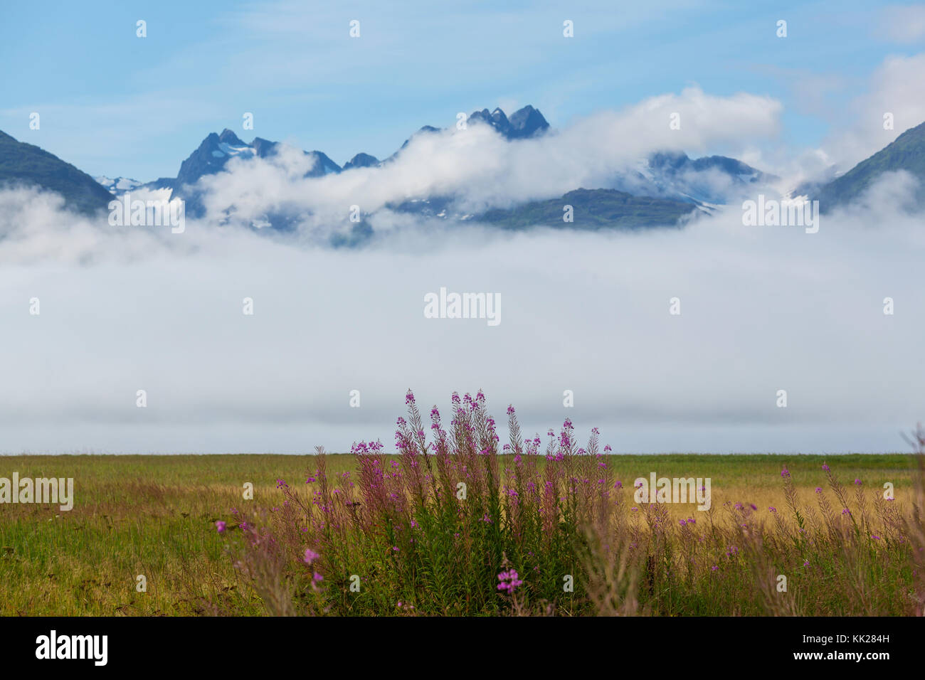 Mountains of Alaska in summer Stock Photo - Alamy