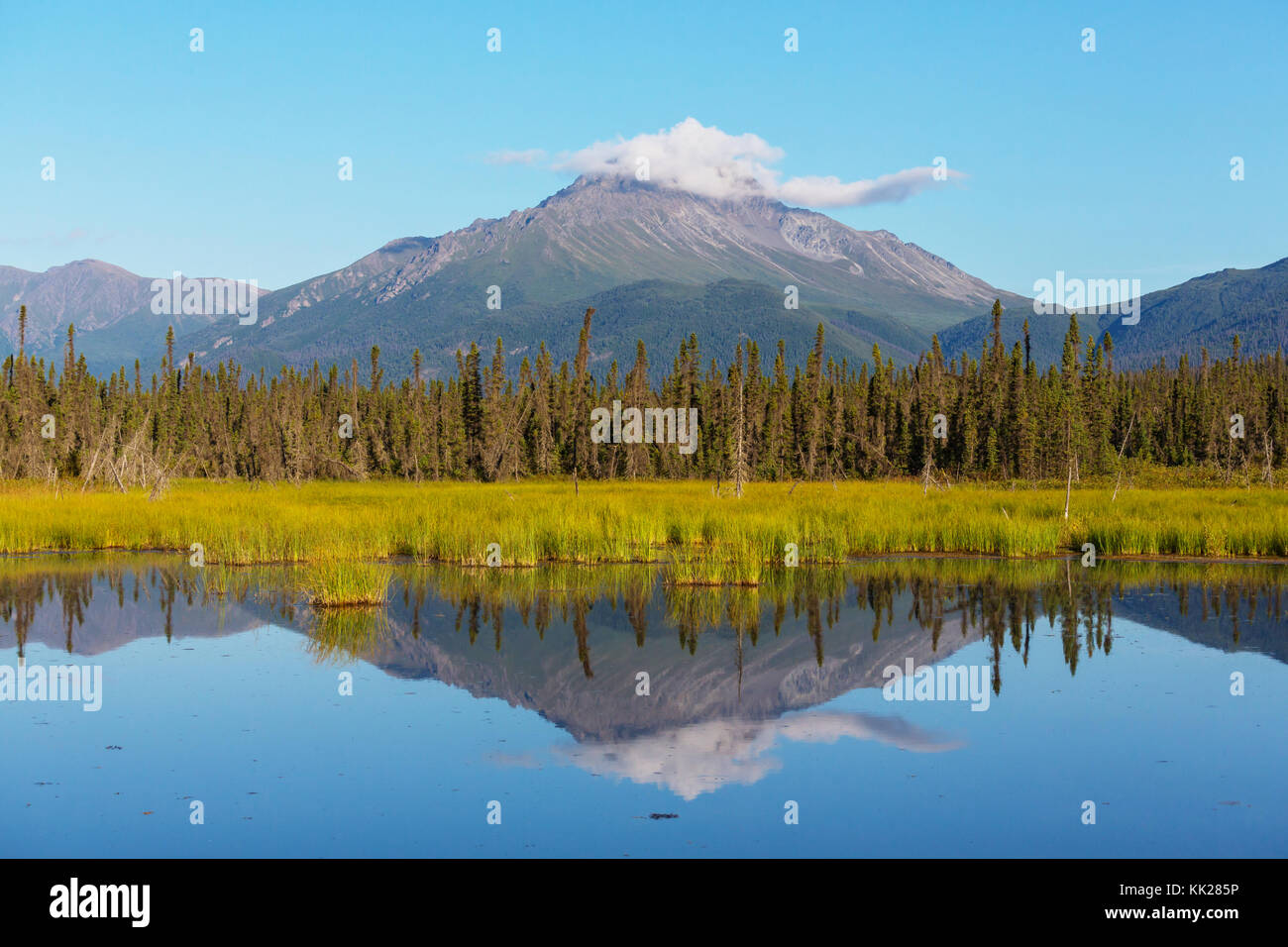 Mountains of Alaska in summer Stock Photo - Alamy