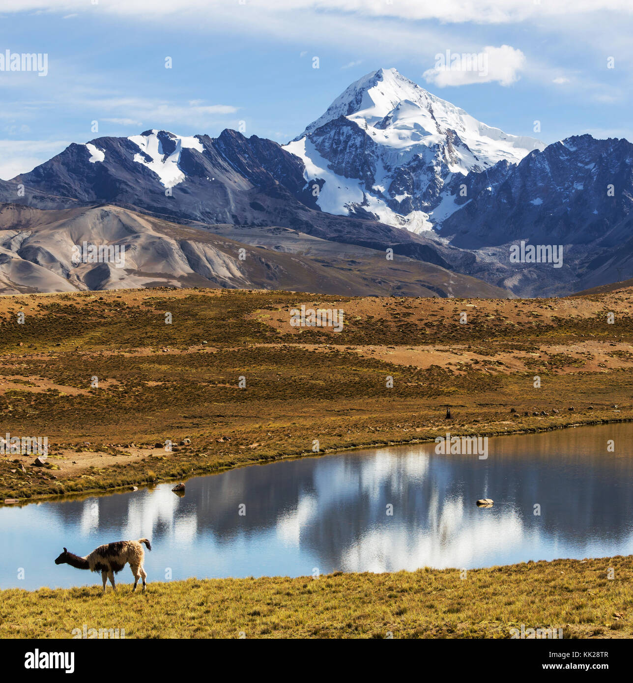 High mountains in Bolivia Stock Photo - Alamy