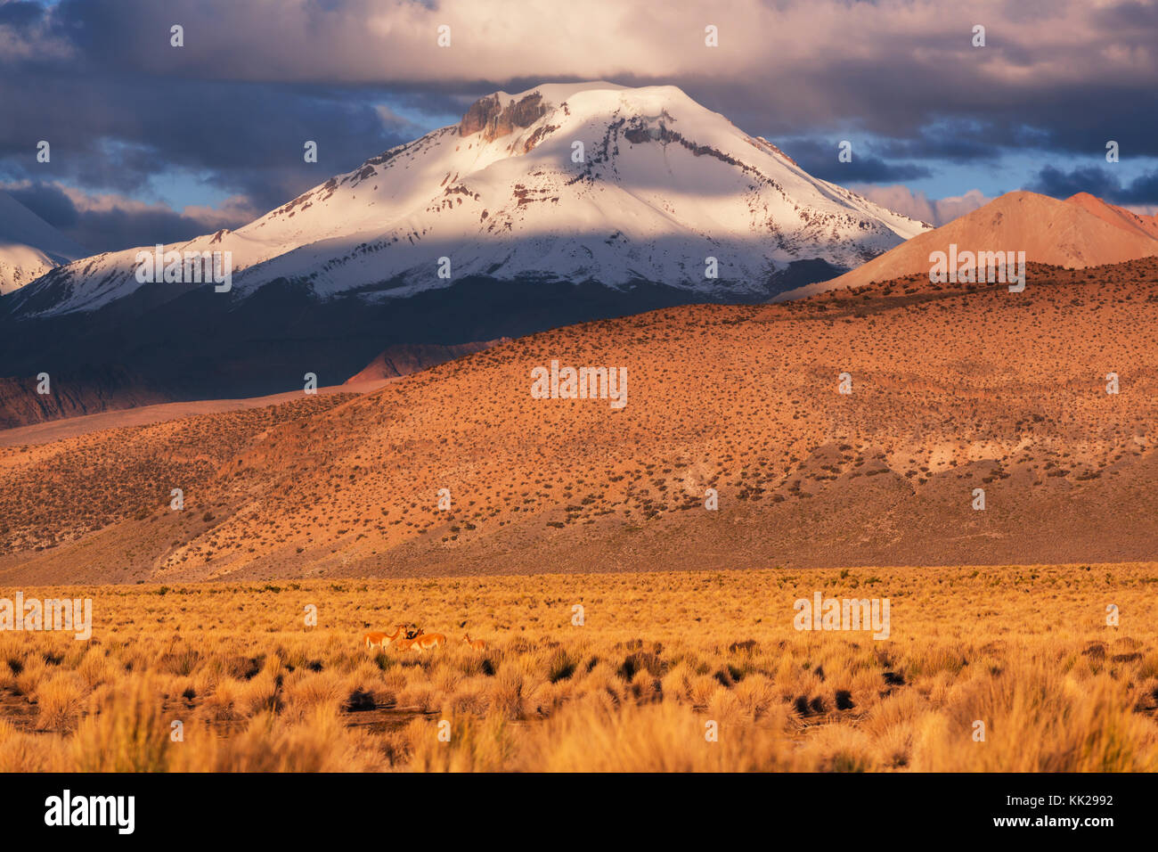 High mountains in Bolivia Stock Photo - Alamy