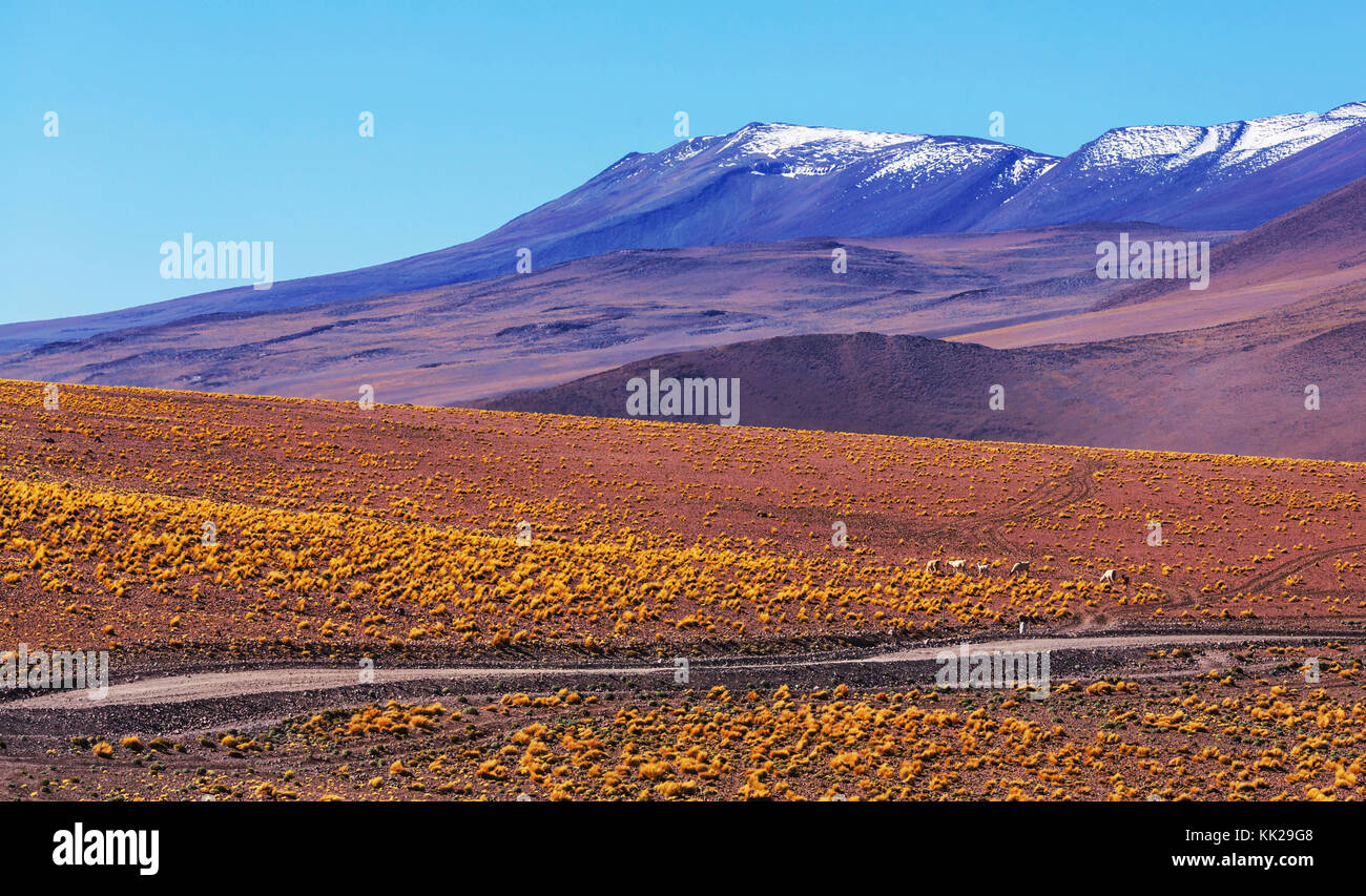 High mountains in Bolivia Stock Photo - Alamy