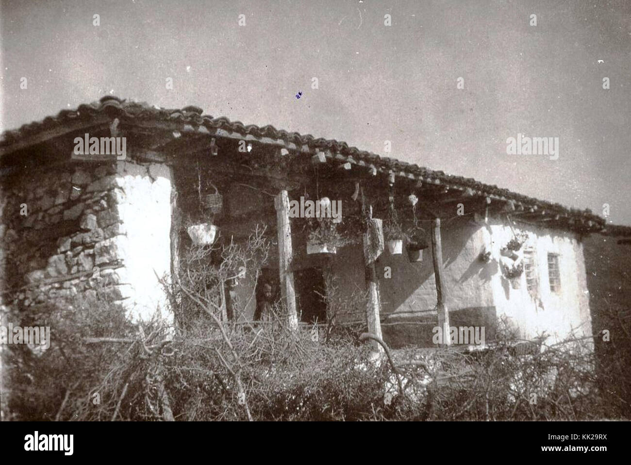 Rabrovo, 1931 19 Stock Photo - Alamy