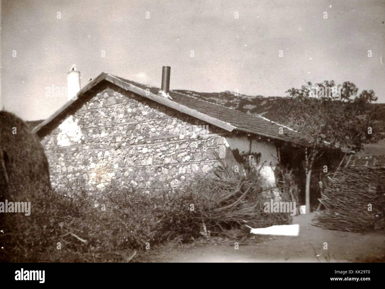 Rabrovo hi-res stock photography and images - Alamy