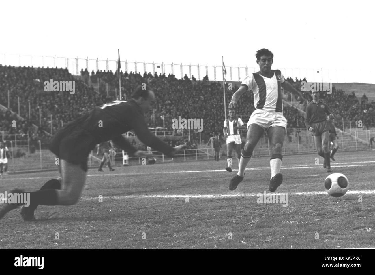 Daniel Borsuk 1965 02 03 Stock Photo - Alamy