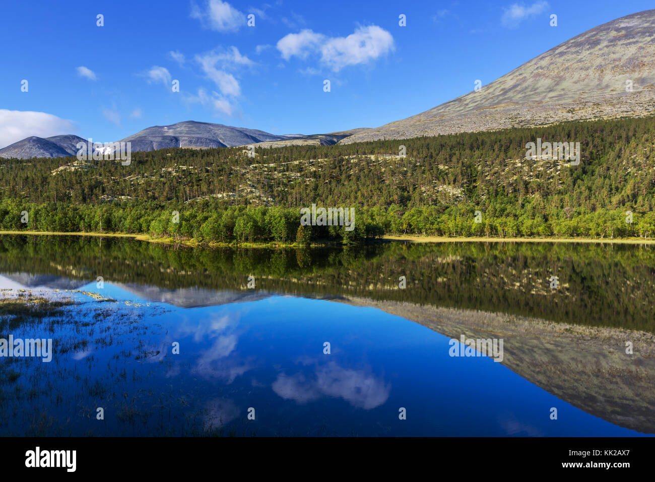 mountains in Norway, Jotunheimen National Park Stock Photo - Alamy