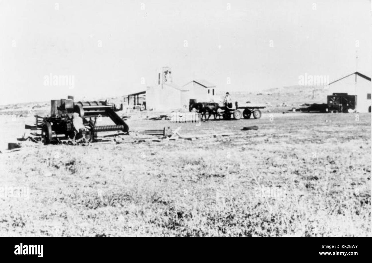 Malkiya hi-res stock photography and images - Alamy