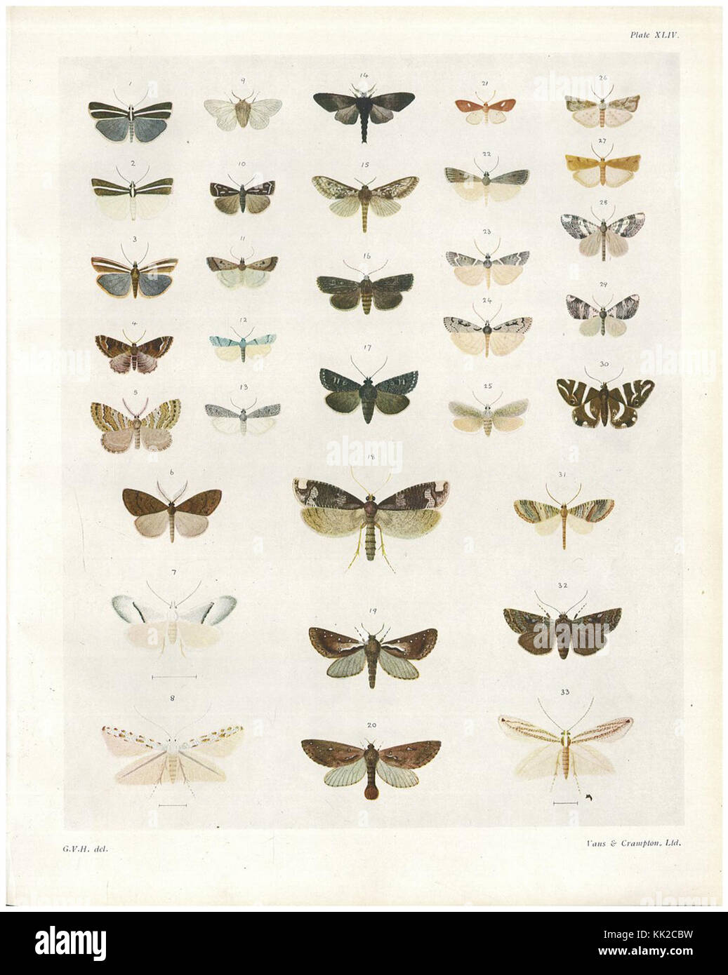 Collection showcases diverse shapes hi-res stock photography and images ...