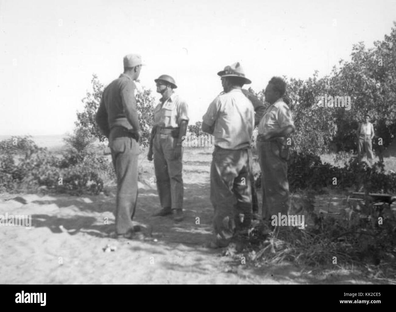 Israel Galili Yoav Stock Photo - Alamy