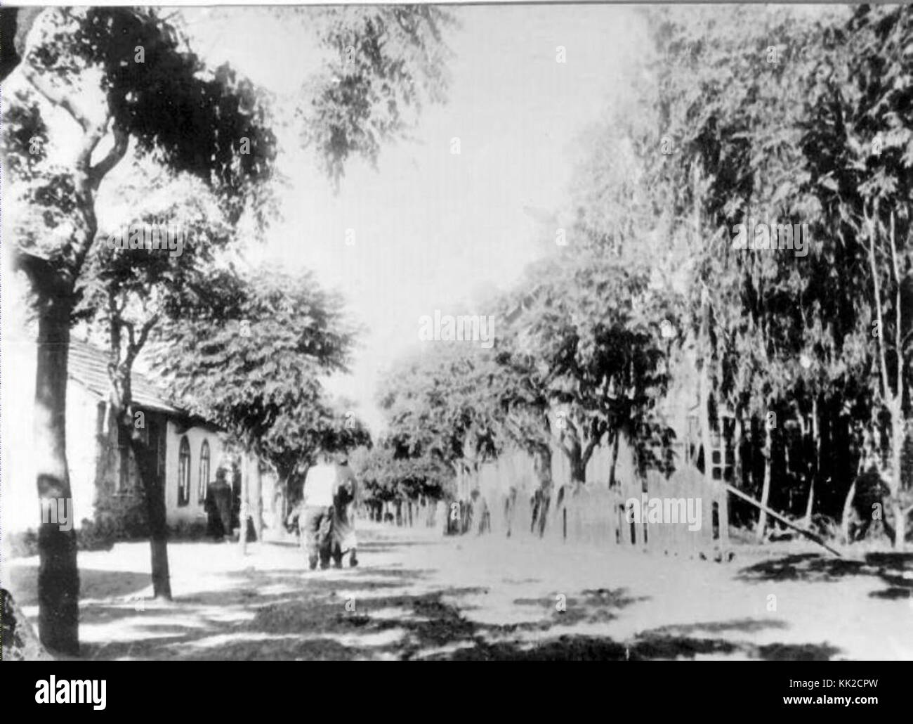 Moshava hi-res stock photography and images - Alamy