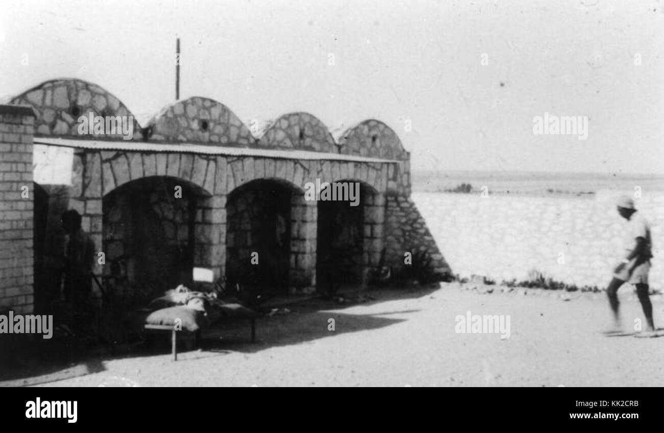 Revivim hi-res stock photography and images - Alamy