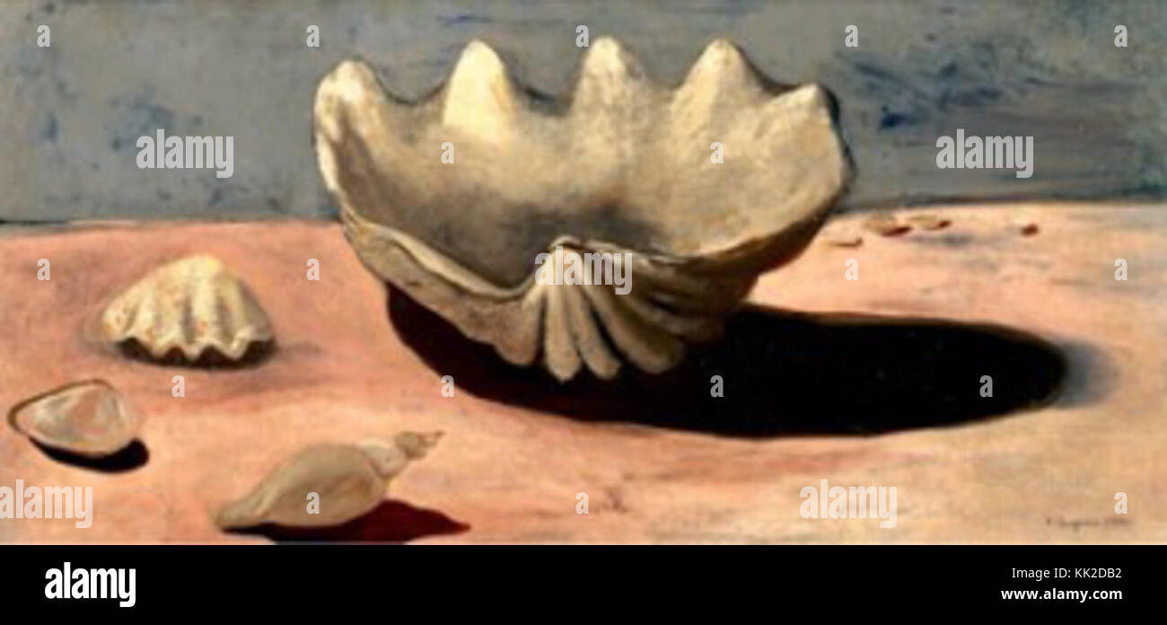 Muscheln illustration hi-res stock photography and images - Alamy