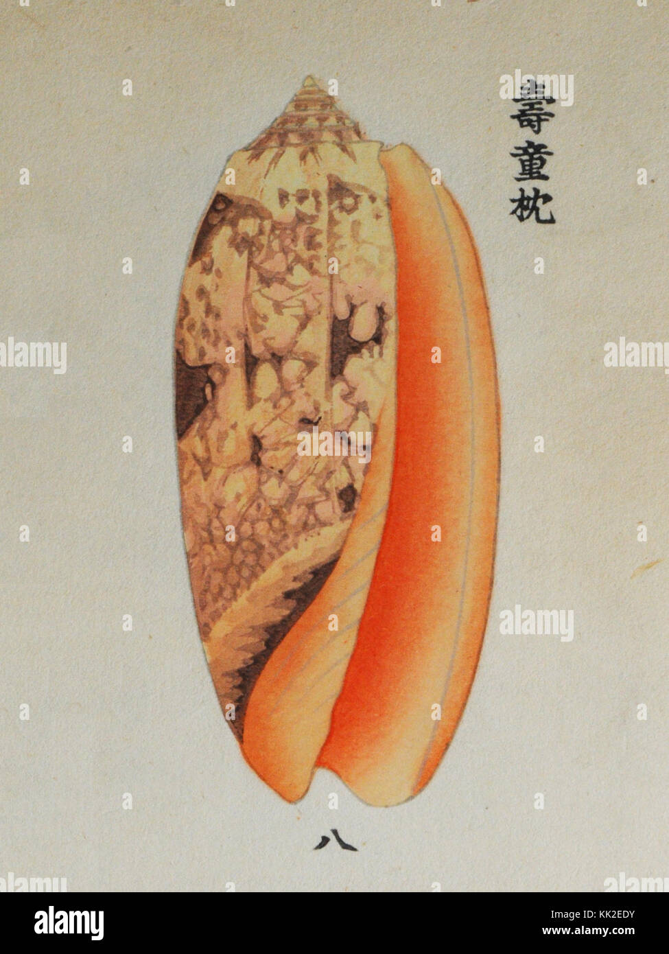 Makura hi-res stock photography and images - Alamy