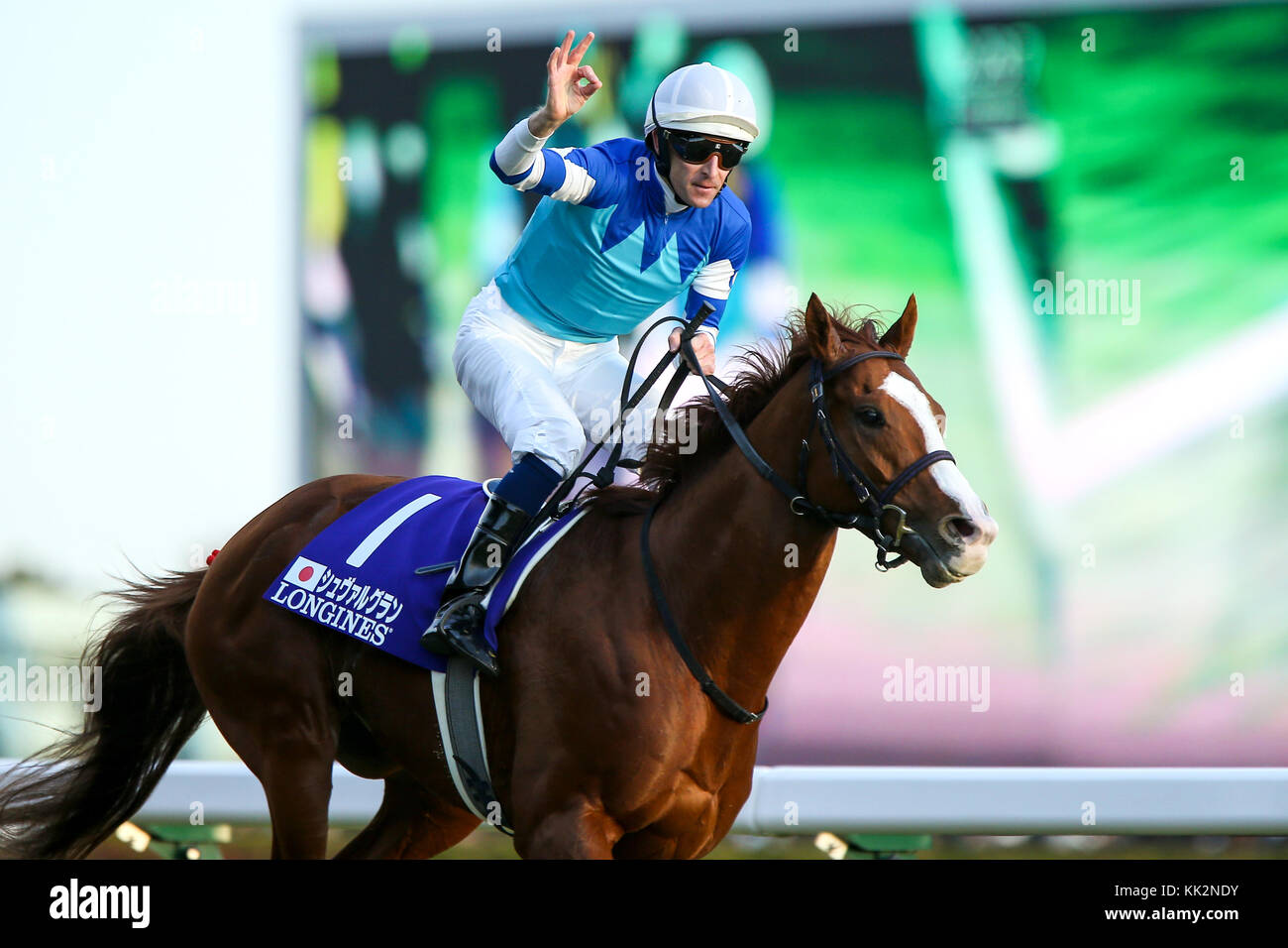Fuchu, Tokyo, Japan. 26th Nov, 2017. Cheval Grand ( Hugh Bowman) Horse ...