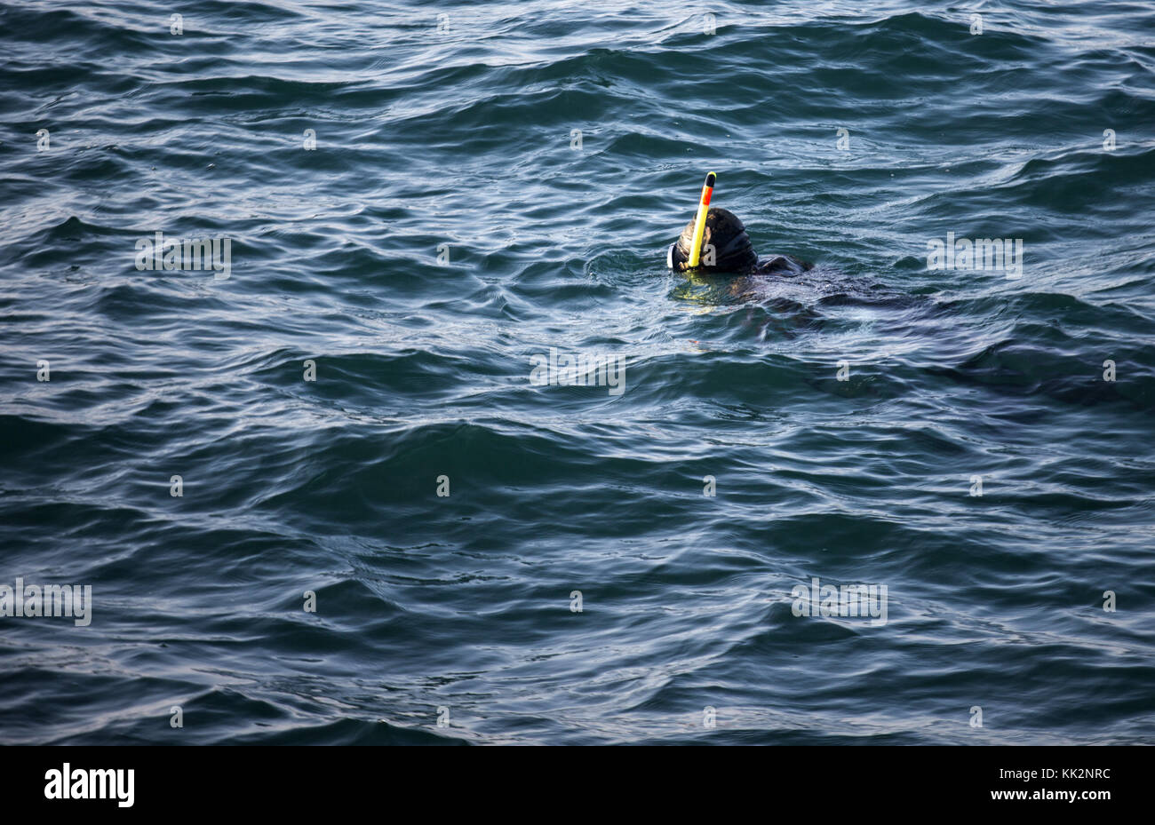 Gaza City, The Gaza Strip, Palestine. 27th Nov, 2017. Palestinian ...