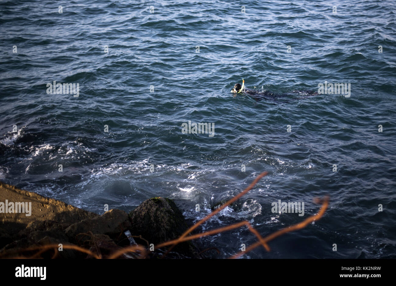 Gaza City, The Gaza Strip, Palestine. 27th Nov, 2017. Palestinian ...