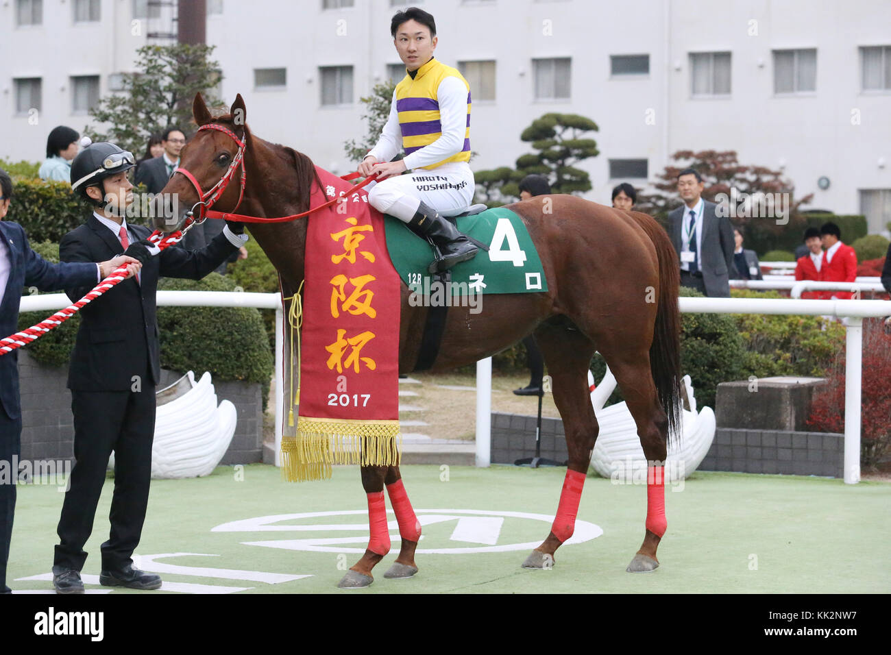 Kyoto, Japan. 26th Nov, 2017. Nero (Hiroto Yoshihara) Horse Racing ...