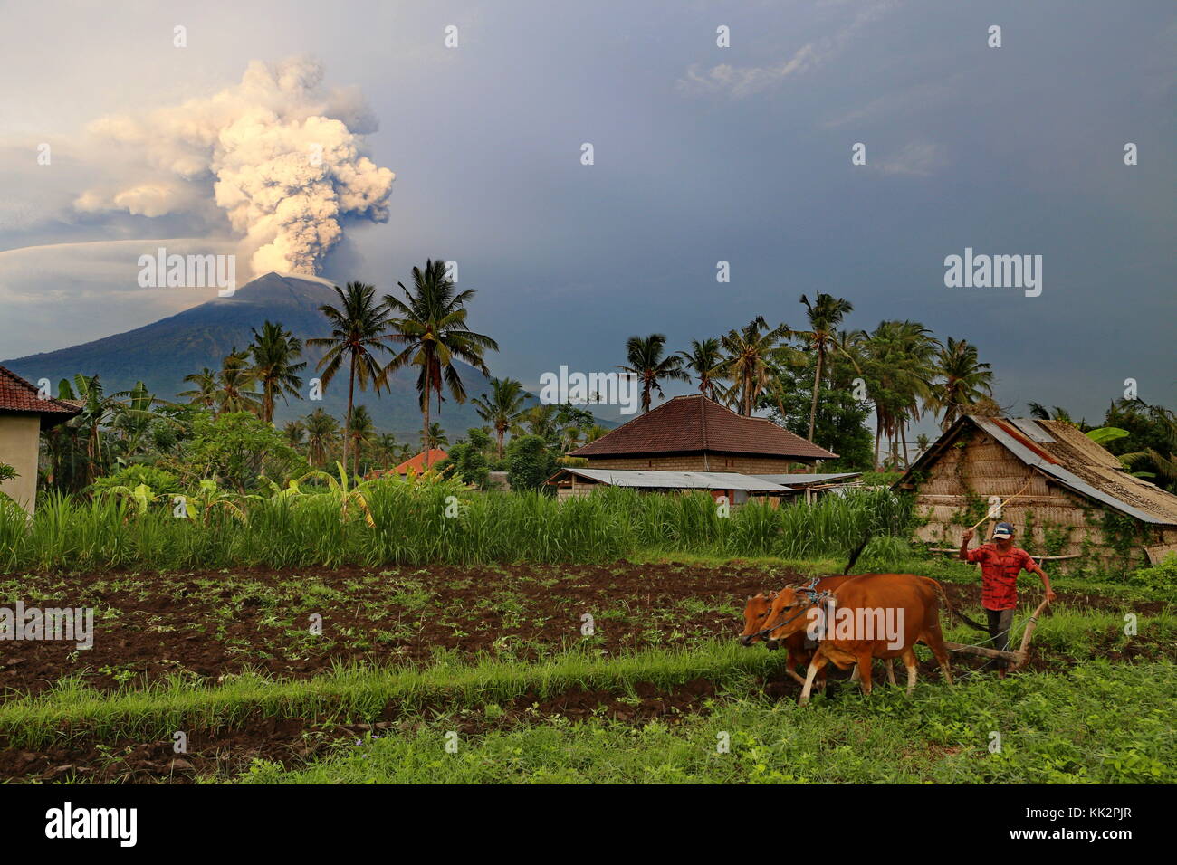 Bali, Indonesia. 28th Nov, 2017. The eruption of Mt. Agung disrupts ...