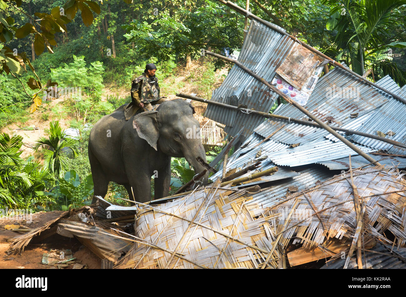 In the kamrup district hi-res stock photography and images - Alamy