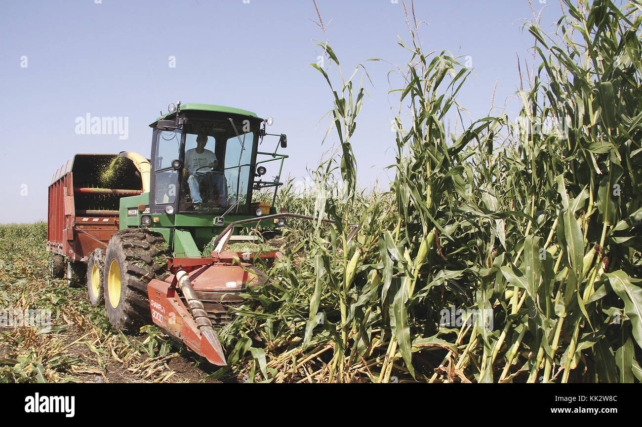 Davenport, Iowa, USA. 24th Aug, 2011. Keith Blake, who farms more than ...