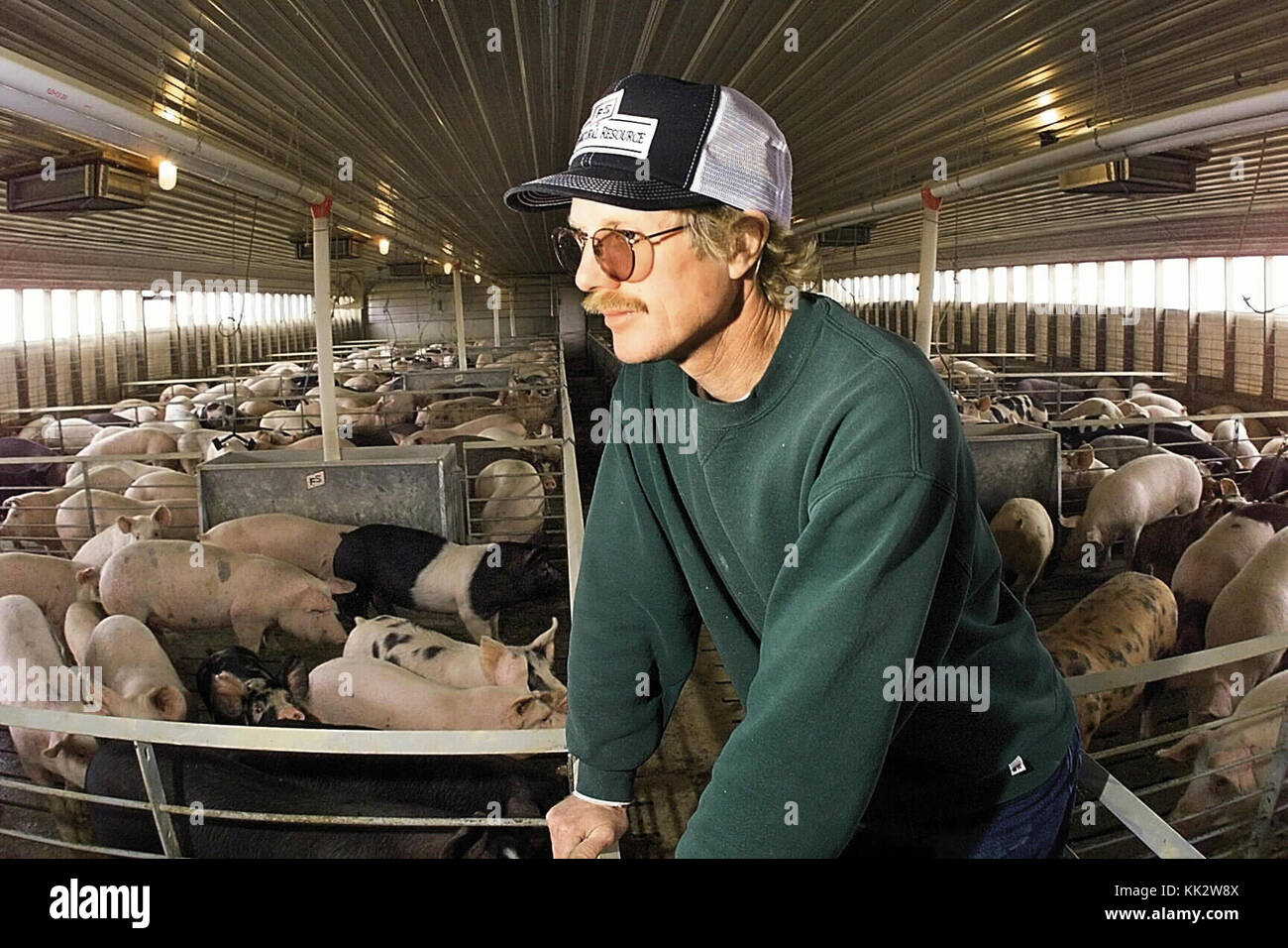 Hog confinement building hi-res stock photography and images - Alamy