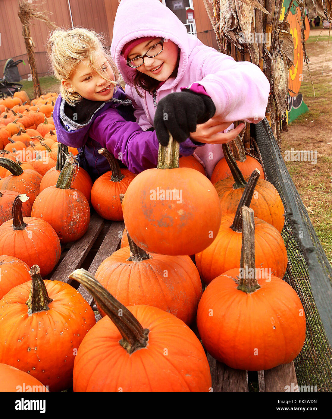 Grove quad hi-res stock photography and images - Alamy