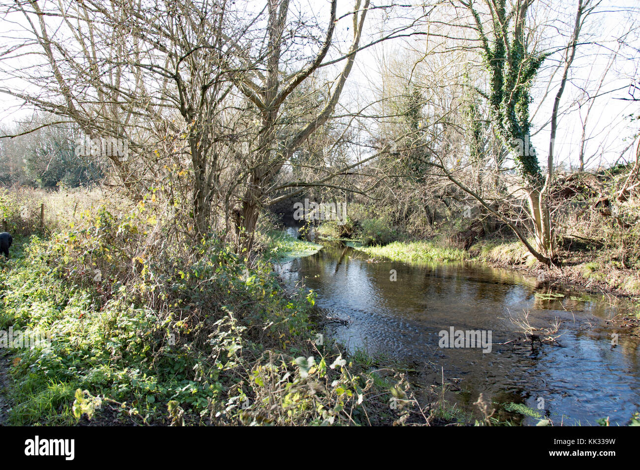 The Colne Brook meandering through Iver Heath Stock Photo - Alamy