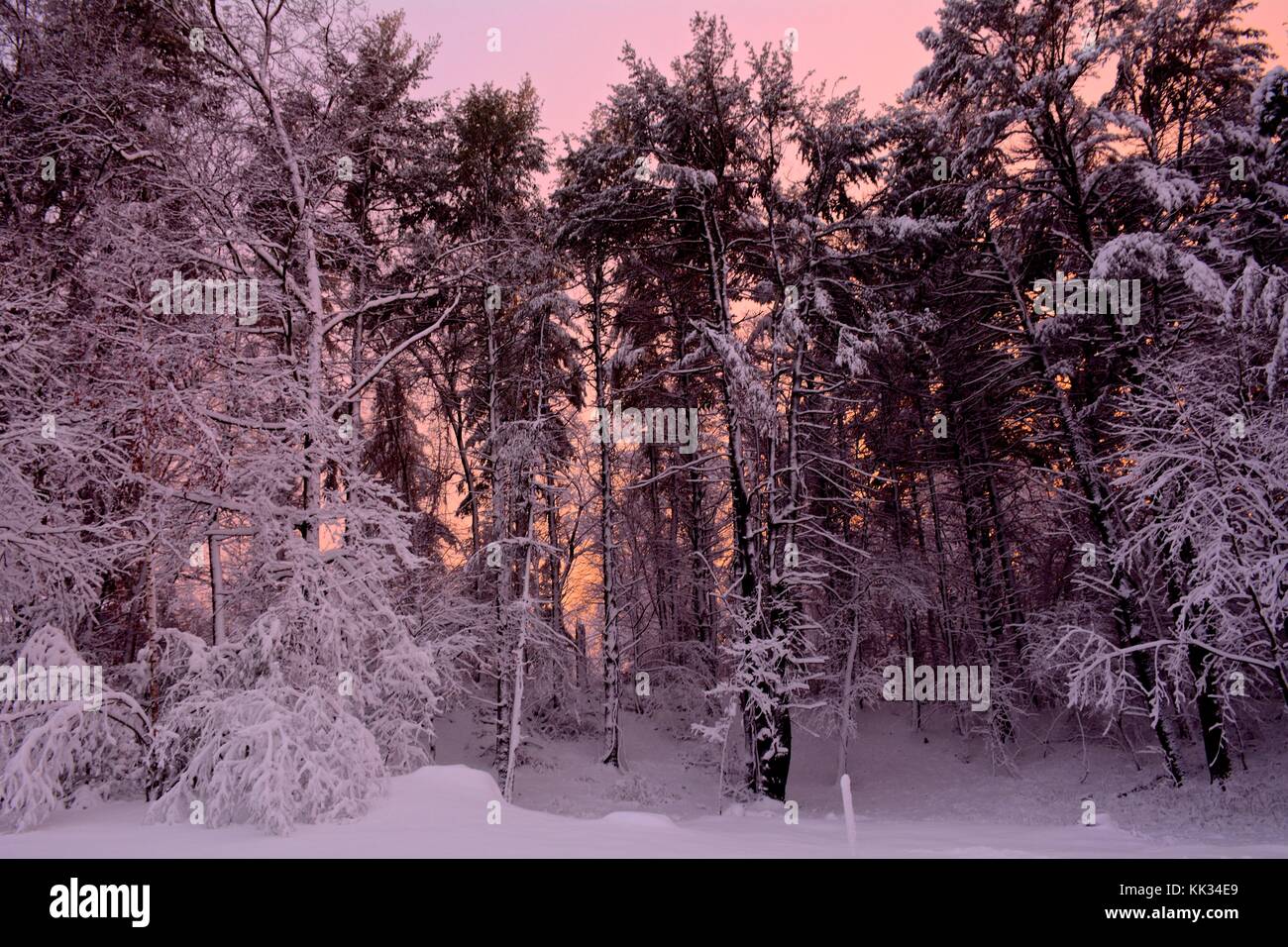 Beautiful winter sky hi-res stock photography and images - Alamy