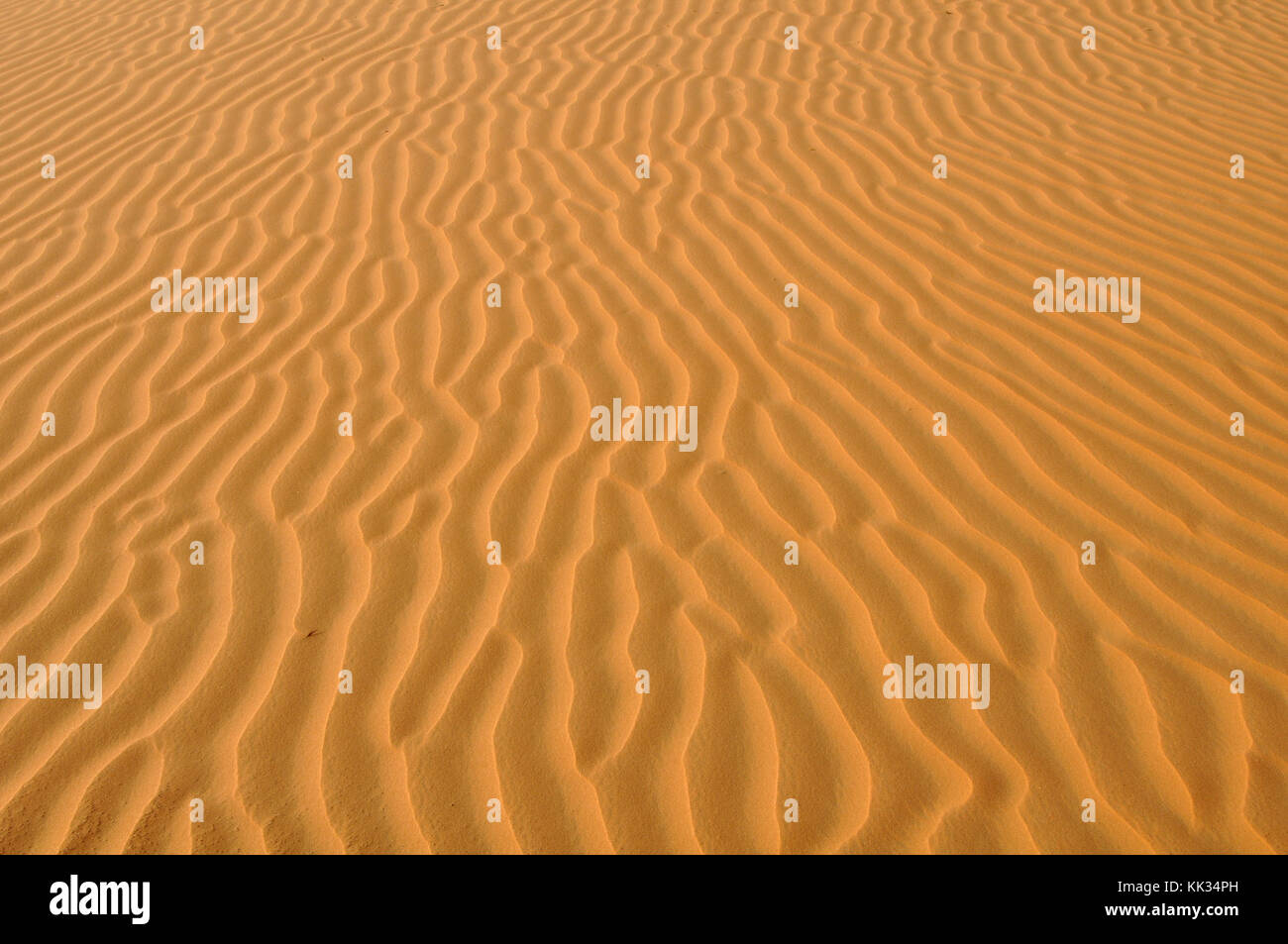Wind-formed patterns in this collection of sand in the Arabian Desert ...