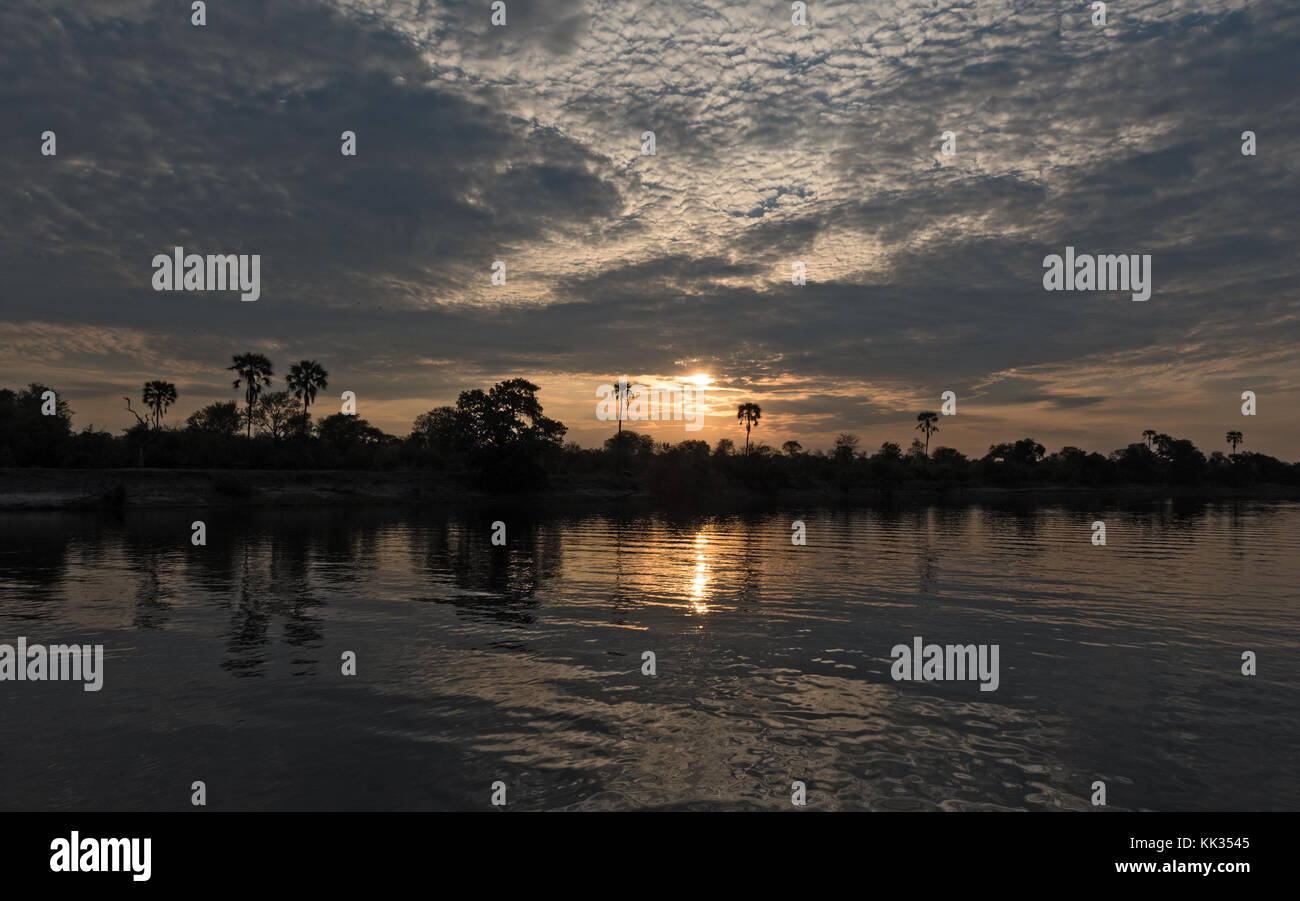 Okavango hi-res stock photography and images - Alamy