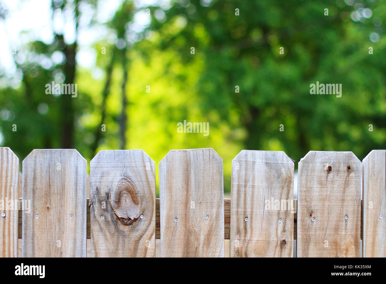 Looking over a backyard fence with trees in the background Stock Photo ...