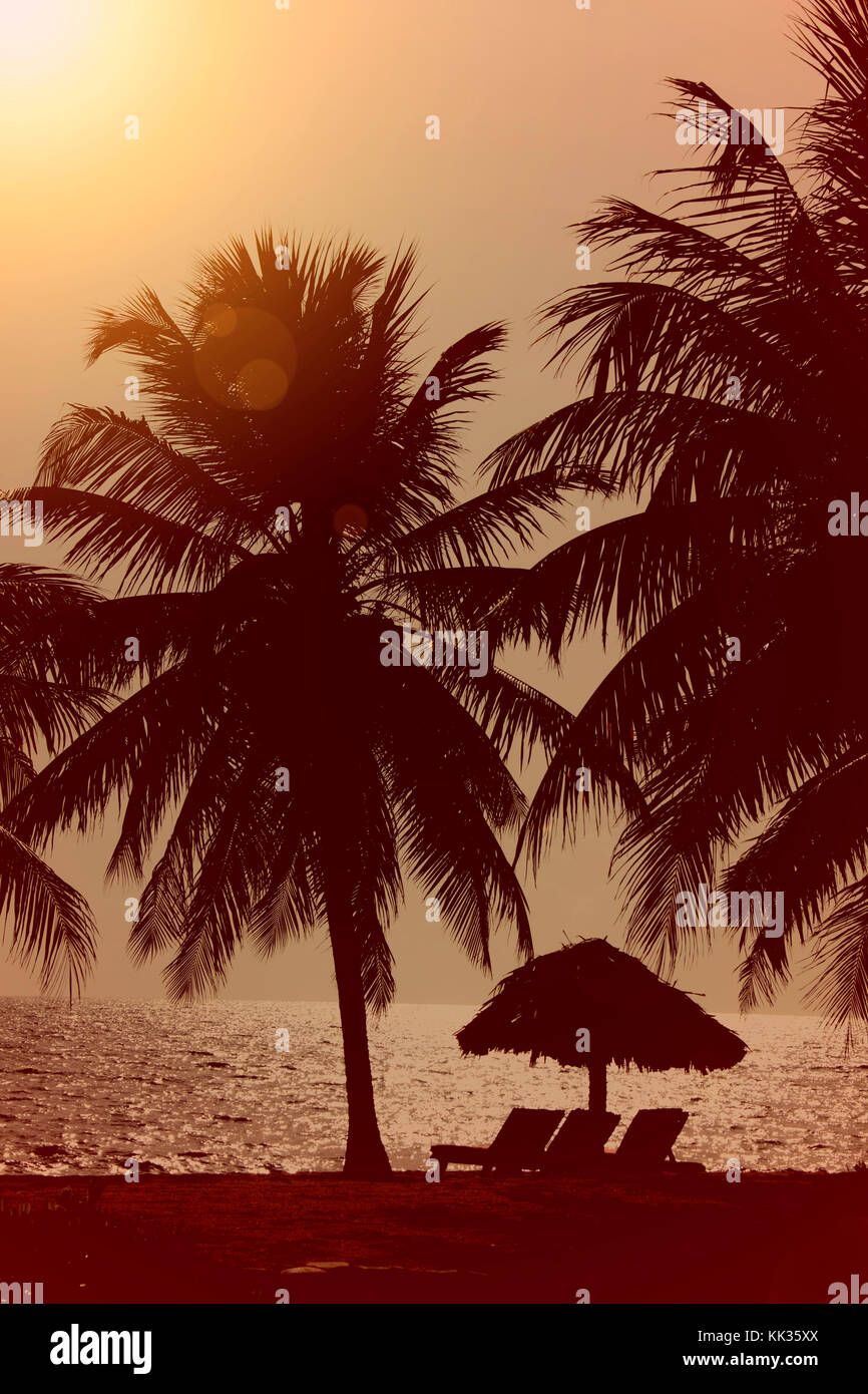 Tiki hut hi-res stock photography and images - Alamy