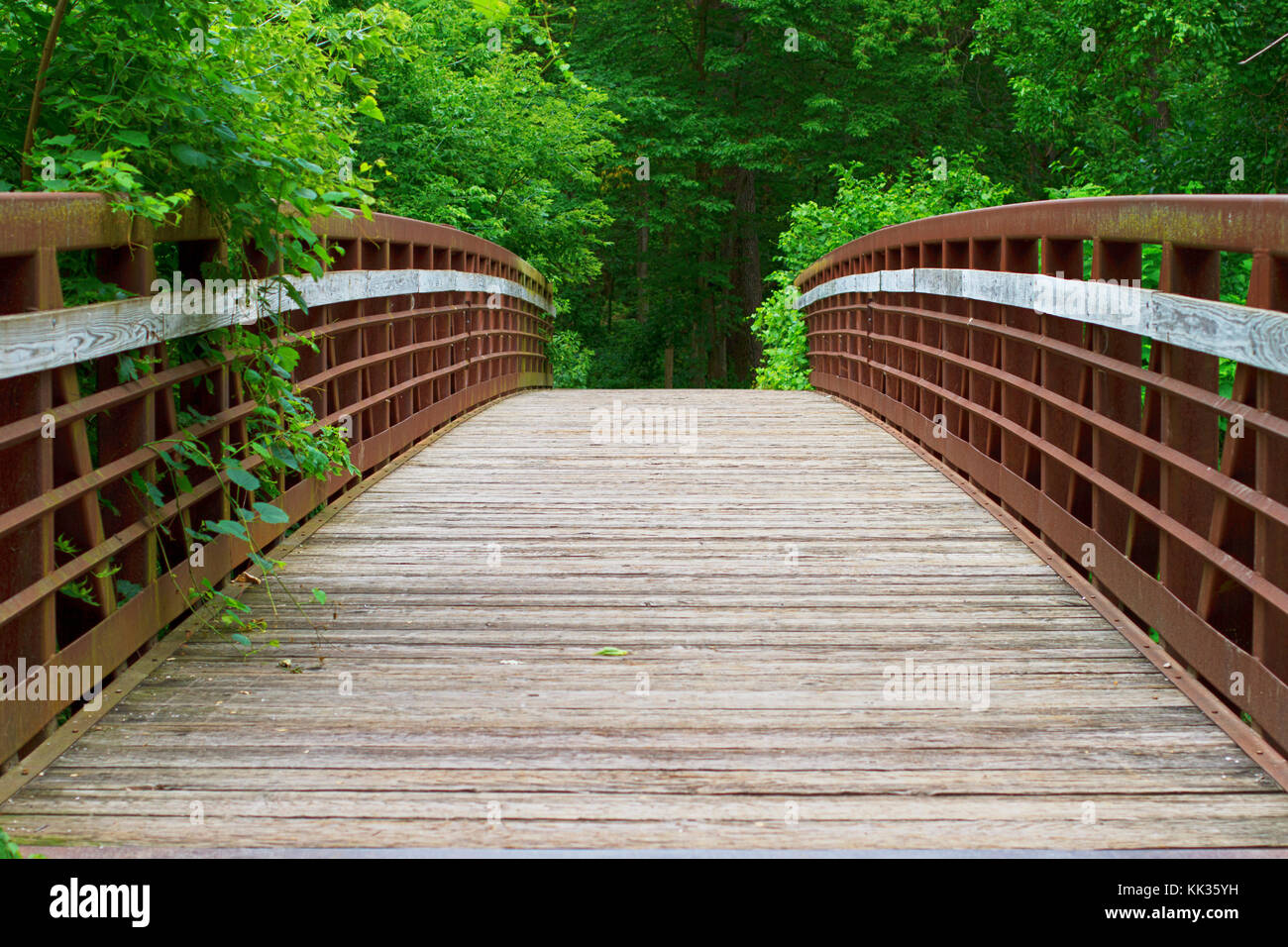 Old bridge leading into a dark forest woods Stock Photo - Alamy