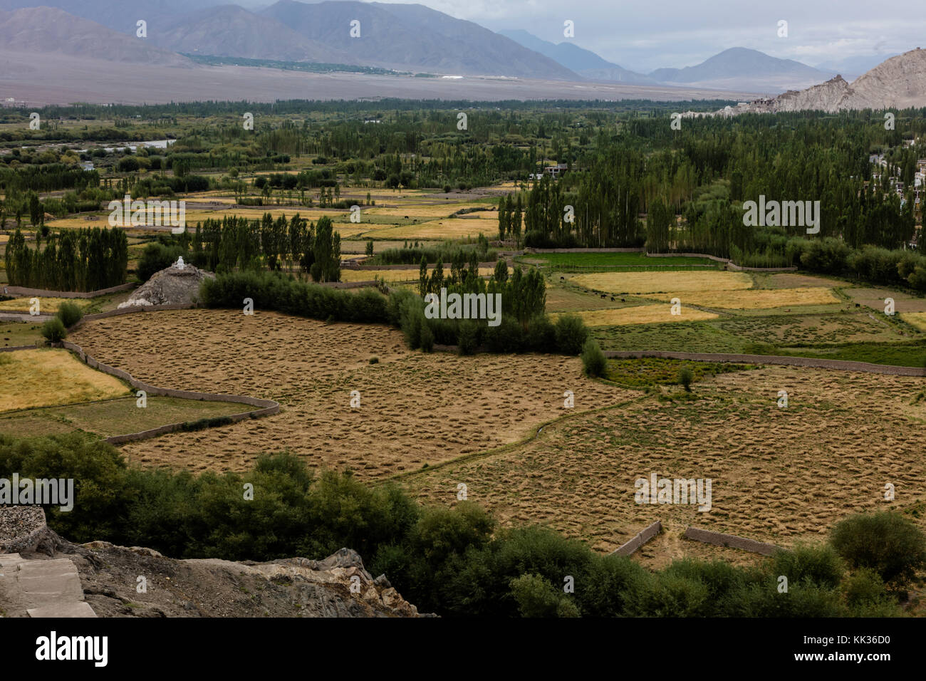 Ladakh agriculture hi-res stock photography and images - Alamy