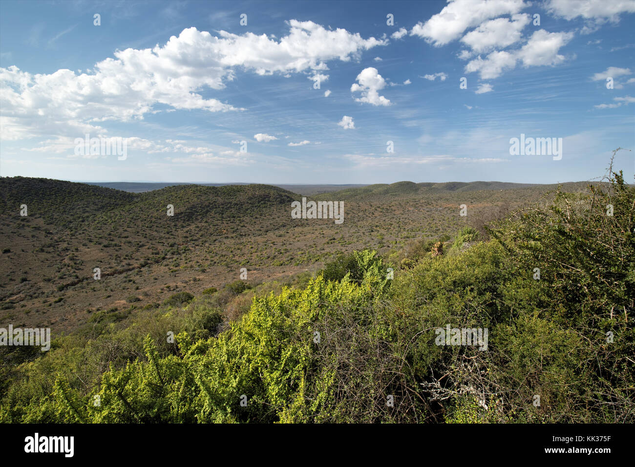 Landscape of Addo Elephant National Park in August, South Africa Stock ...