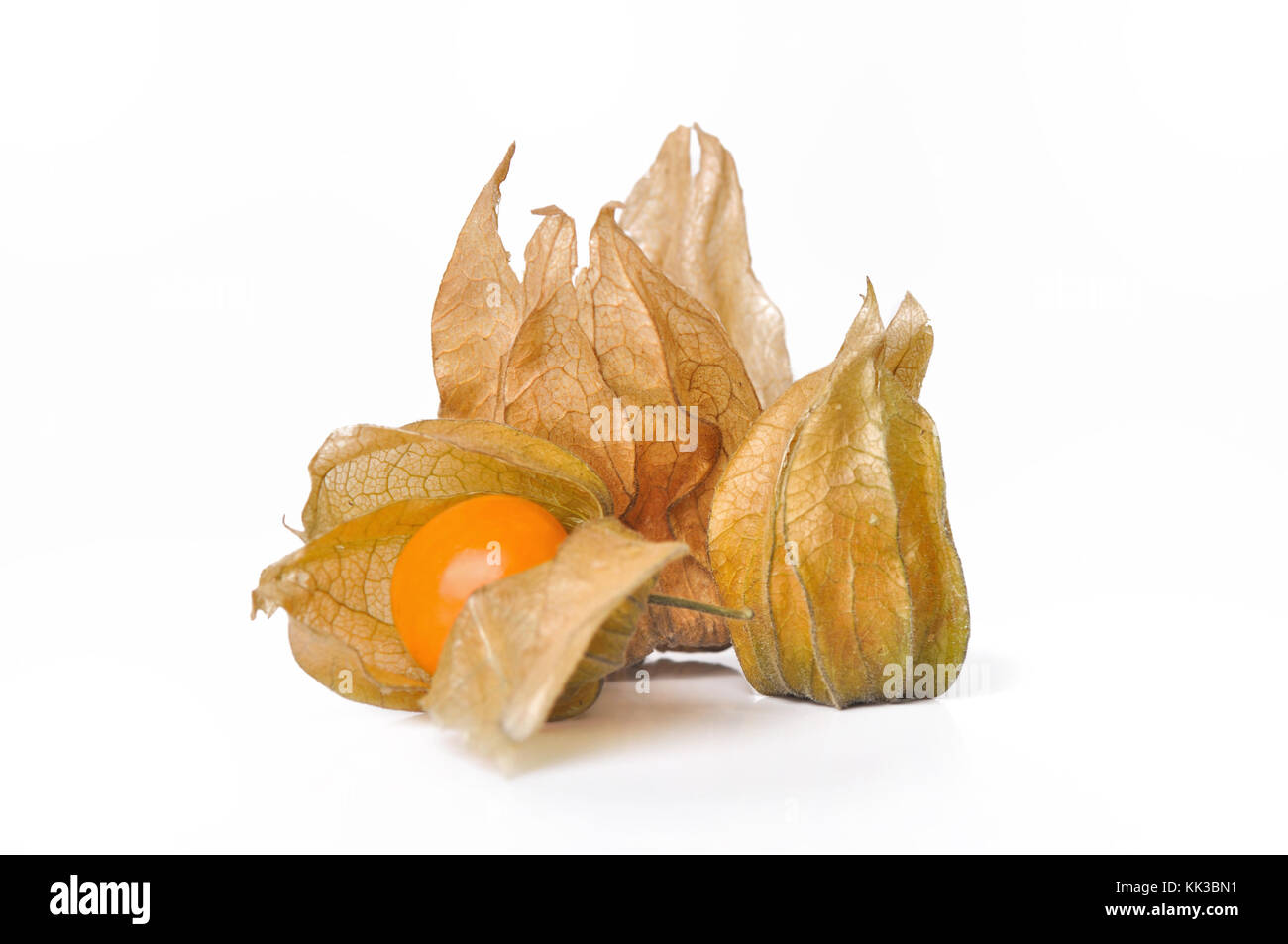 physalis in dried leaf isolated on white background Stock Photo - Alamy