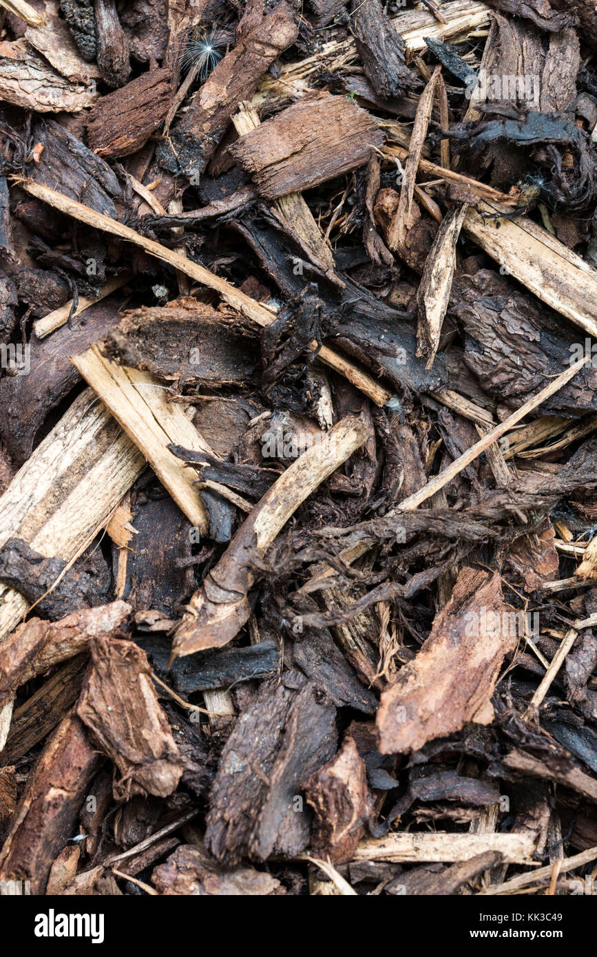 Wood chip bark ground cover hi-res stock photography and images - Alamy