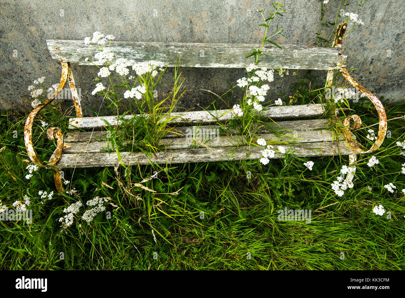 This old bench reminded me of the passage from life to death. It no ...