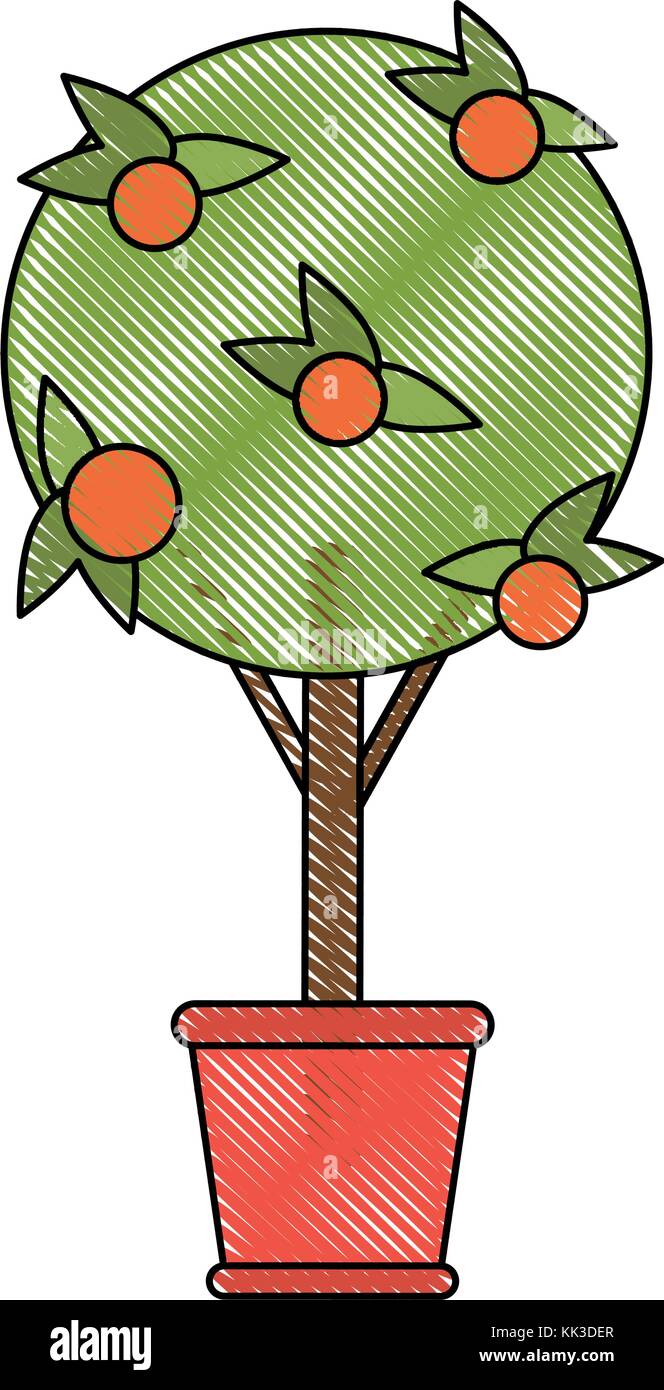 Oranges branch tree Stock Vector Images - Alamy