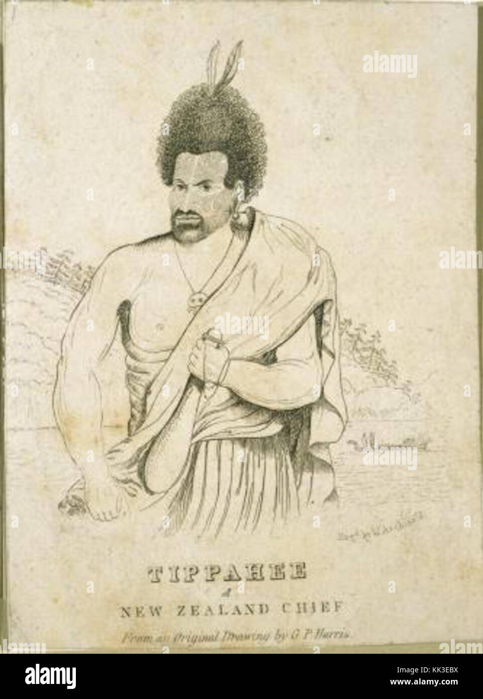 Maori leaders hi-res stock photography and images - Alamy