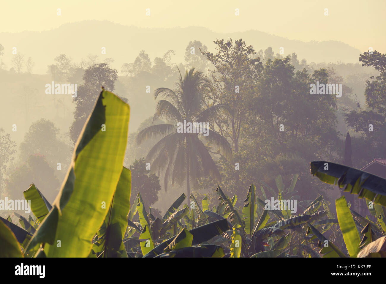 Rural landscapes in Northern Thailand Stock Photo - Alamy